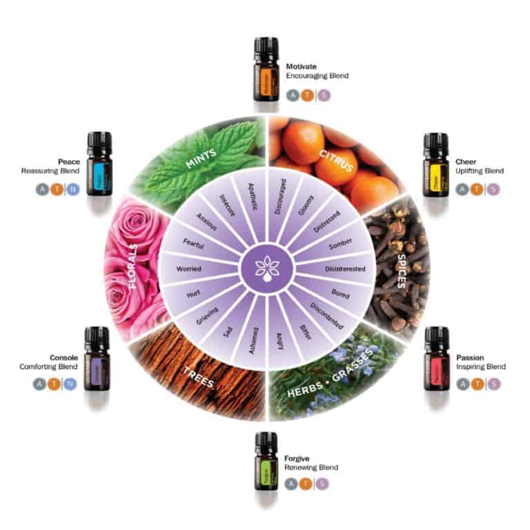 Emotions and Essential Oils - Kate Strong | Intuitive Healing