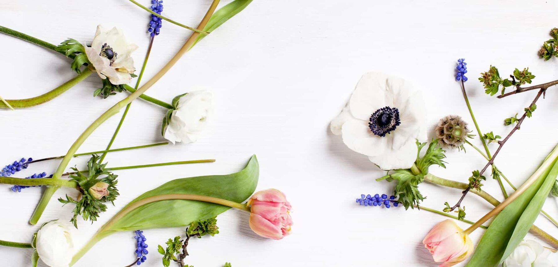 Home - Kate Strong | Intuitive Healing